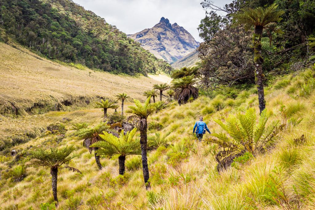 Mount Giluwe in Papua-Neuguinea - rohnfelder.de